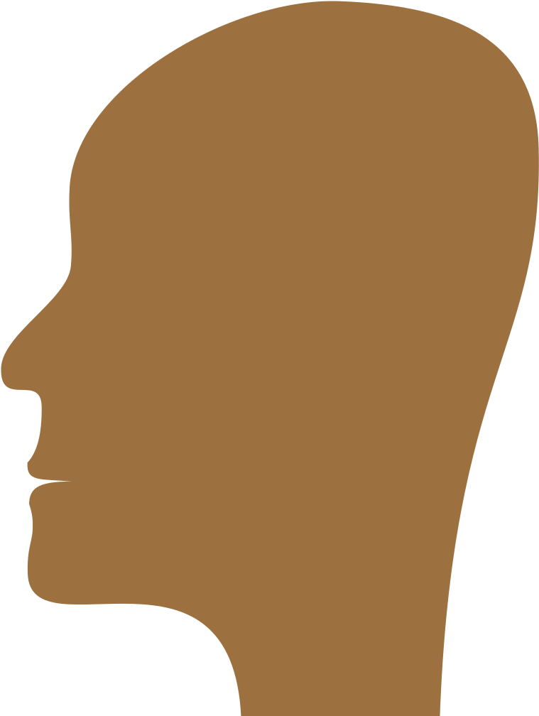 Human Face Profile Icon - Human Profile (1024x1024), Png Download