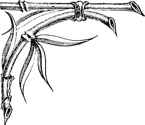 Download Paper Borders Designs Free - Paper Corner Border Designs ...