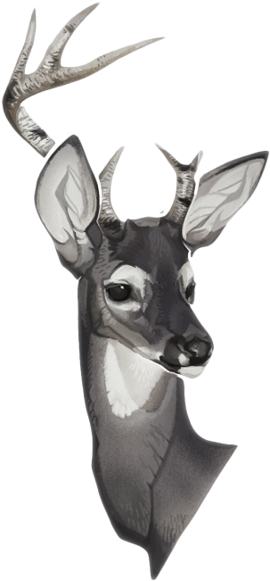 Download Transparent Deer - Drawn Deer | Transparent PNG Download | SeekPNG