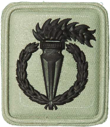 Sandf Qualification Pathfinder Badge Embossed - Pathfinder Badge ...
