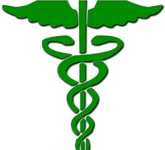 Download Medical Symbol | Transparent PNG Download | SeekPNG