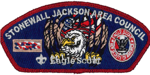 Eagle Scout Shoulder Patch - Emblem (500x281), Png Download