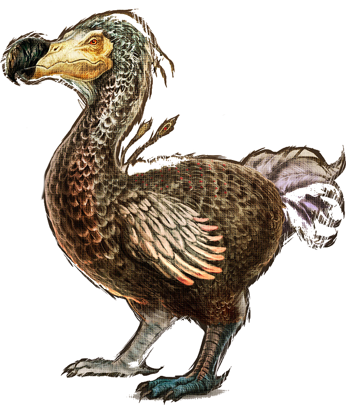 Dodo Ark (739x848), Png Download