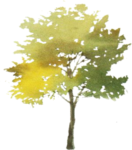 Download Tree Watercolor Png | Transparent PNG Download | SeekPNG