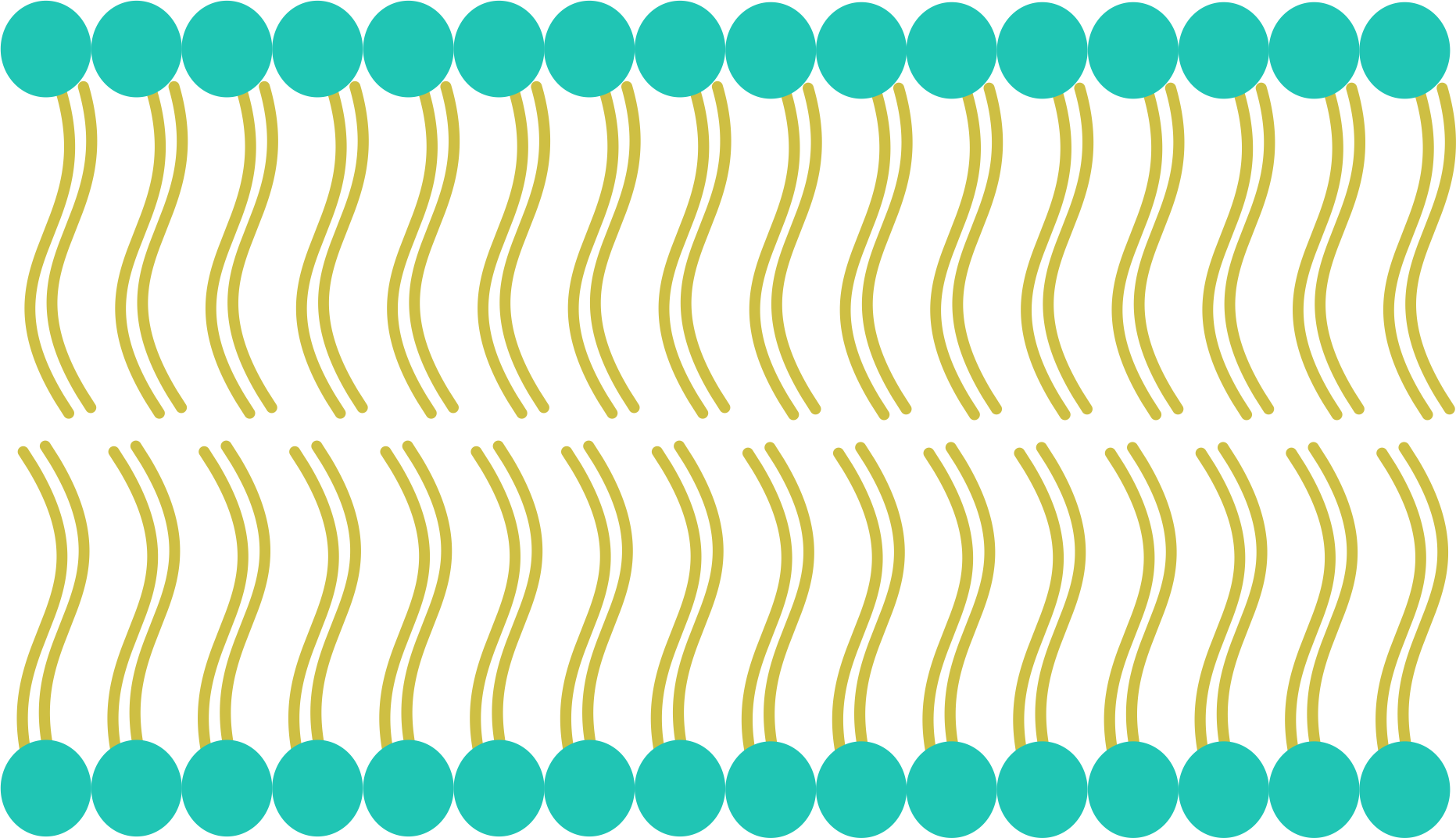 This Free Icons Png Design Of Cell Membrane (1863x1072), Png Download