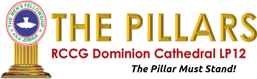 Logo Logo Logo - Lagos State (891x263), Png Download