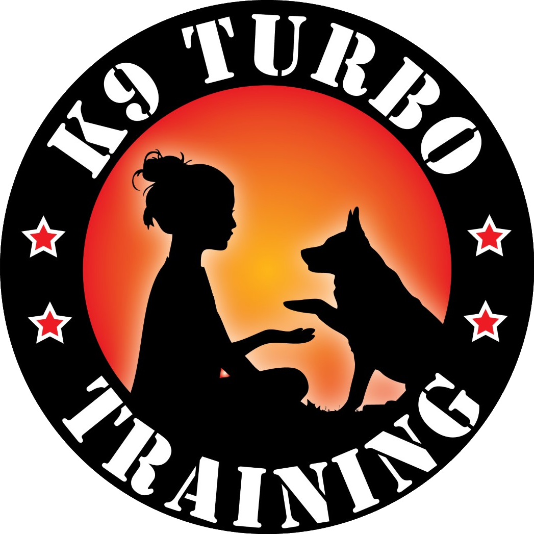 K9 Turbo Training Logo - Toulon (1047x1047), Png Download