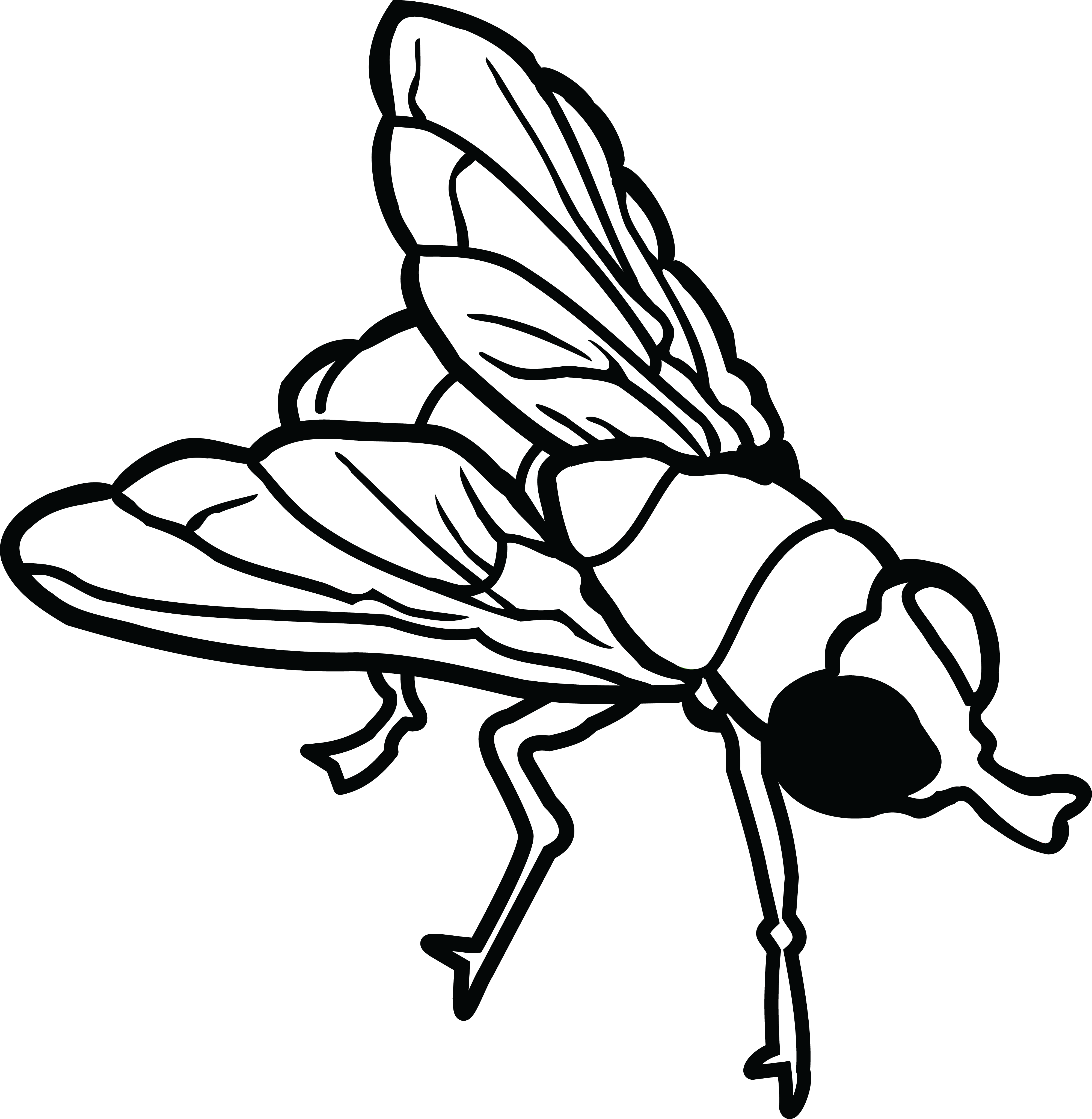 Clipart Fly (4000x4096), Png Download