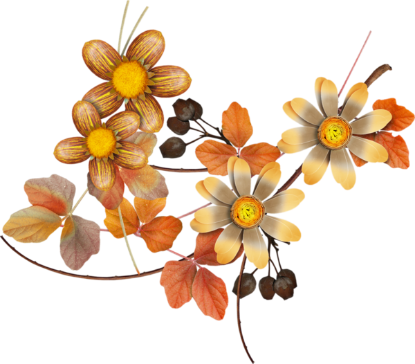 Fall Flower Png - Fall Flower Transparent Png (600x526), Png Download