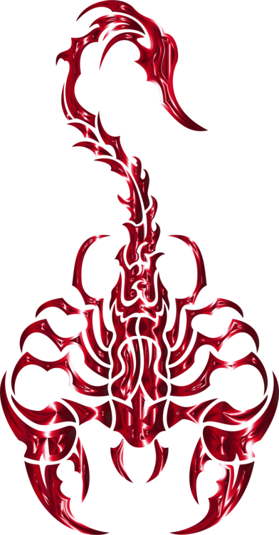 Scorpions Drawing Arachnid Arizona Bark Scorpion - Red Scorpion Art ...