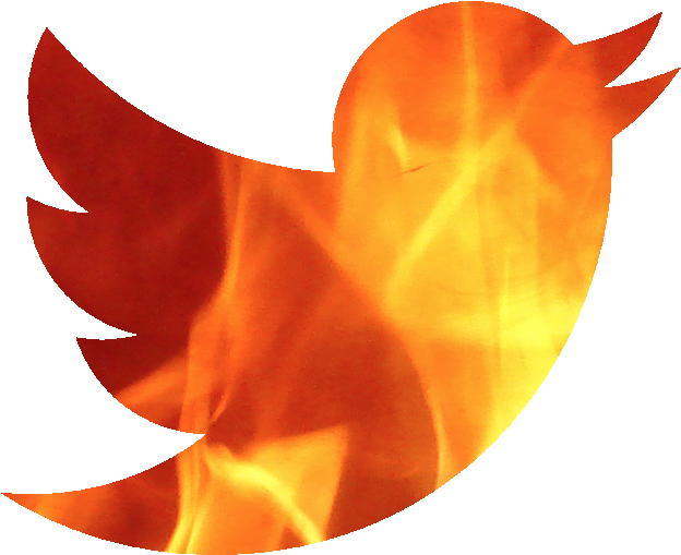 Post - Twitter Bird Logo Red (631x518), Png Download