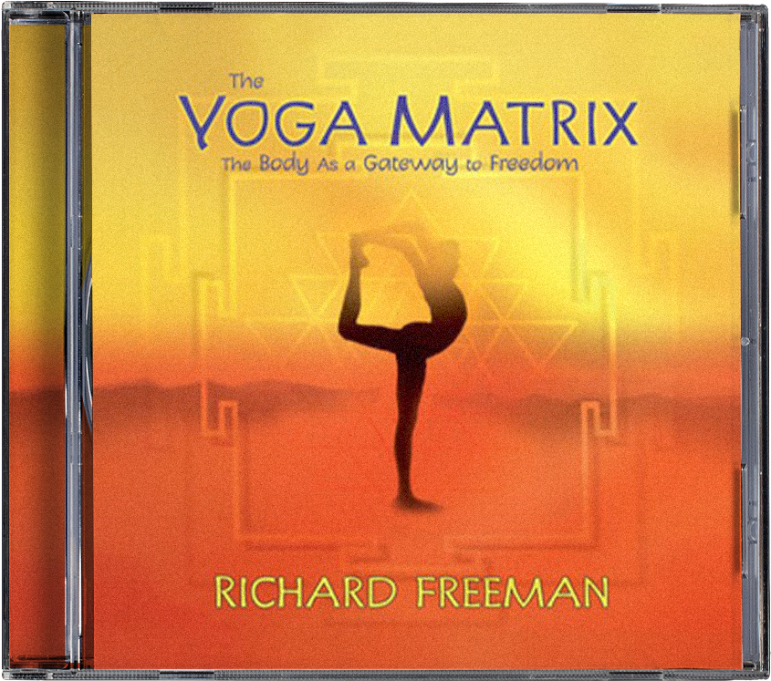 The Yoga Matrix - Richard Freeman The Yoga Matrix (914x914), Png Download