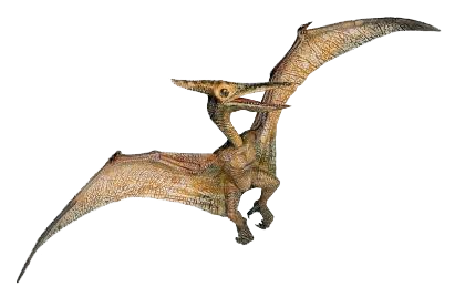 Download Pteradactyl - Dinosaur Pteranodon | Transparent PNG Download ...