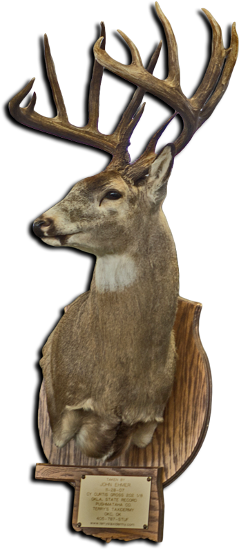 State Record Buck - Portable Network Graphics (353x800), Png Download