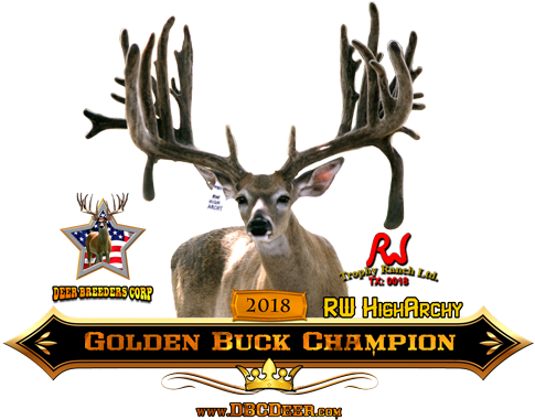 Golden Buck Rules In Pdf - Deer Breeders Corporation (500x419), Png ...