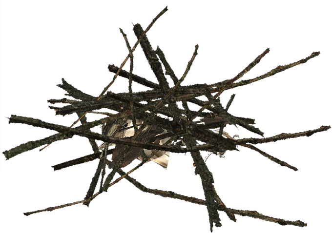 Transparent Image Of Twigs (700x491), Png Download
