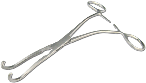 Transparent Surgical Instruments Png (600x350), Png Download