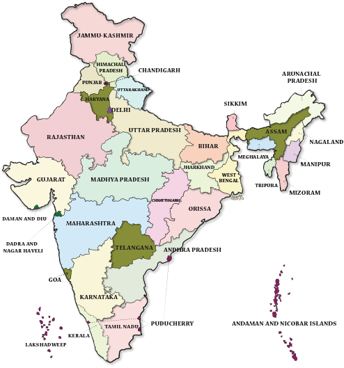 Iay Nic In 2016 17 (494x529), Png Download