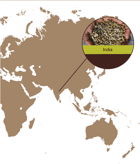 India Map - Ecuador Map Of Continent (478x734), Png Download