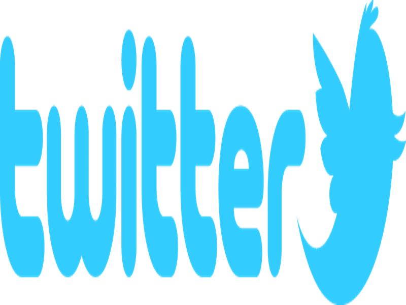 Twitter-logo - Twitter Logo Horizontal (800x600), Png Download