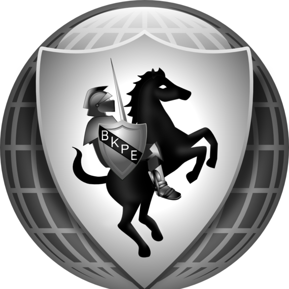 Black Knight Performance Engineering, Inc - Virginia (587x587), Png ...