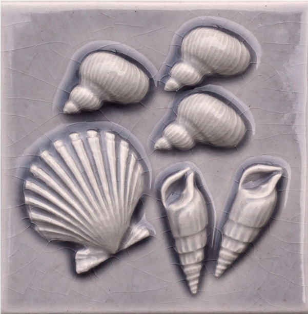 4 1/4" X 4 1/4" Snails/cockle/phos Shells (864x864), Png Download