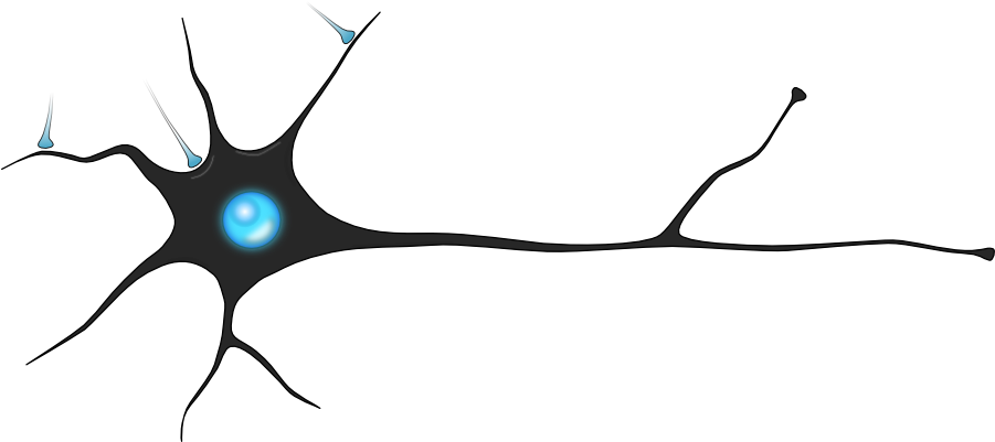 Neurons Synapses On Emaze Banner Freeuse Library - Neuron And Synapse ...