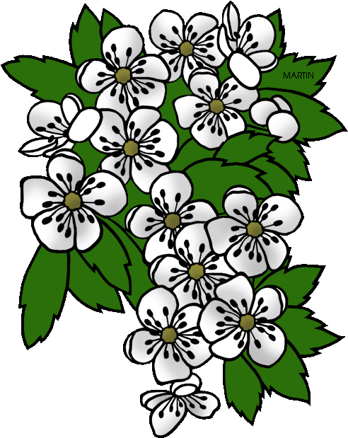 United States Clip Art By Phillip Martin, Missouri - Missouri State ...