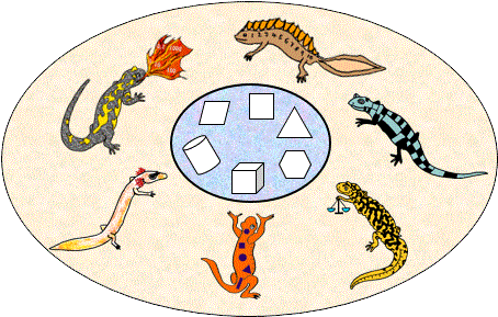 2nd Grade Math Salamanders Picture - Mathematics (464x292), Png Download