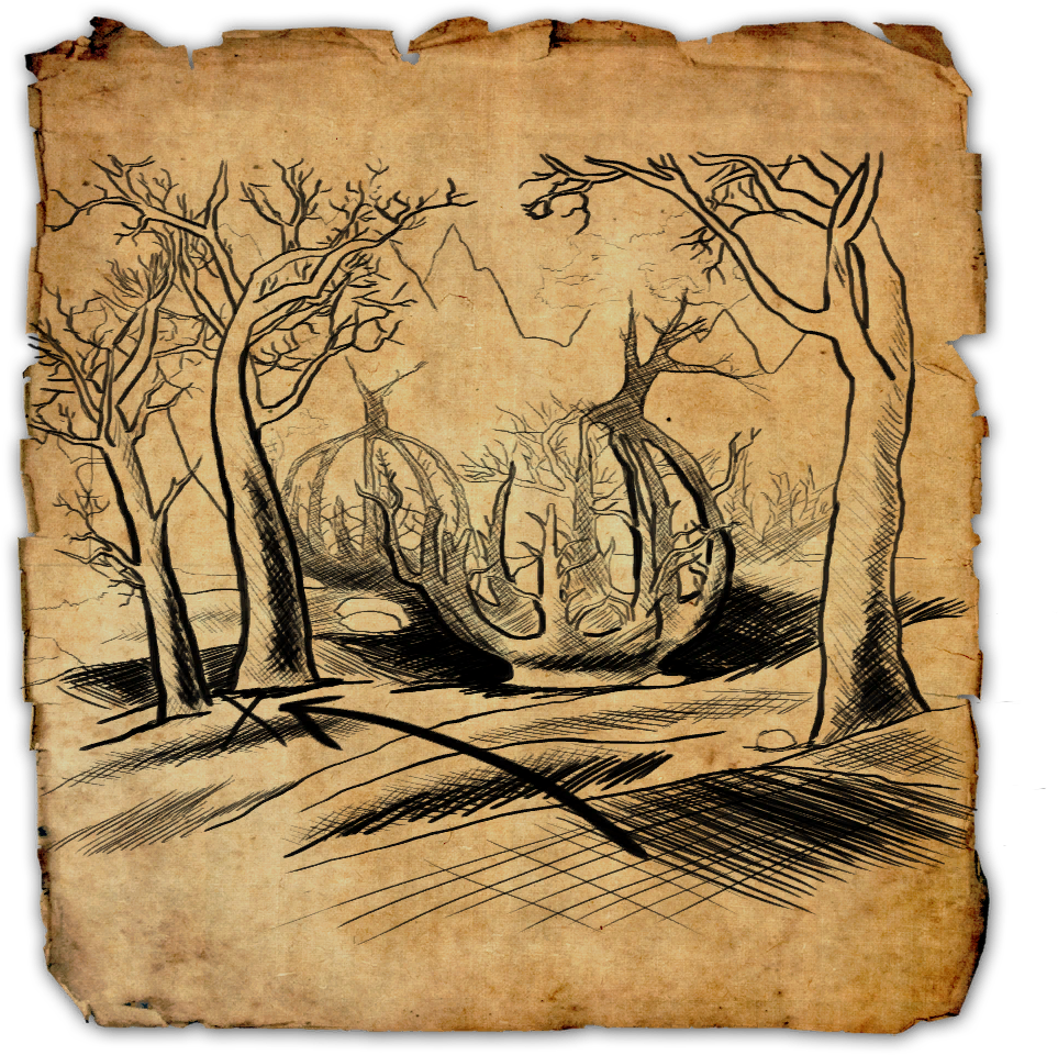 Reaper's March Treasure Map Ii - Reapers March Treasure Map Ii ...