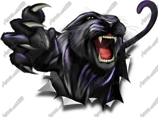 Panther Png Clipart - Tiger Rip (550x408), Png Download