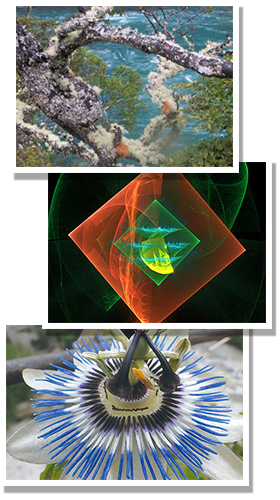 Works By Maria Formoso, Myra Joyce And Joan O'brien - Joan O'brien ...