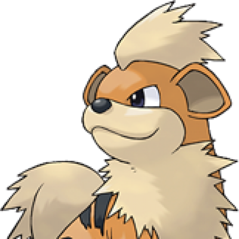 Click To Edit - Pokemon Growlithe (480x480), Png Download
