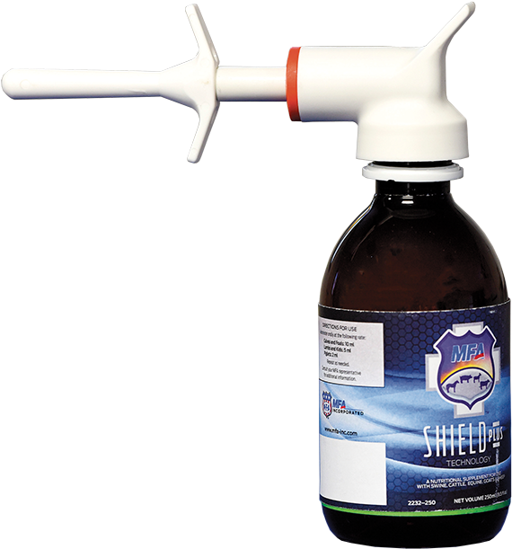 Shield Plus Was Released In January - Stallion (600x628), Png Download