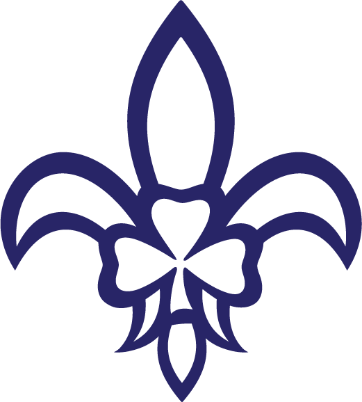 Scouting Ireland Emblem - Scouting Ireland Logo (521x578), Png Download