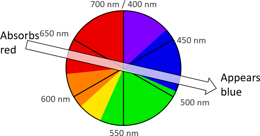 A Color Wheel Accurately Representing The Wavelength - Light (1009x511 ...