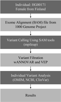 Final Project - The Final Project (286x449), Png Download