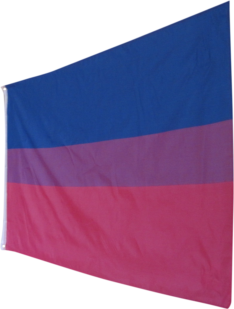 Download Bi-sexual Pride Flag - Flag | Transparent PNG Download | SeekPNG