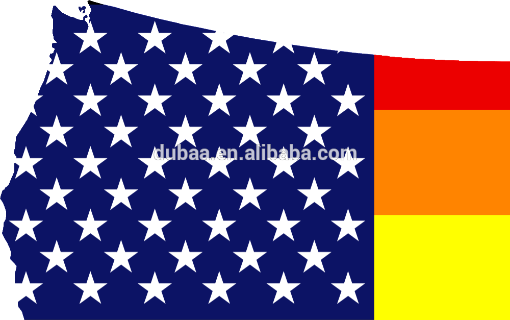 Download Lgbt American Pride Flag Us Shape - Percentage Of Population ...