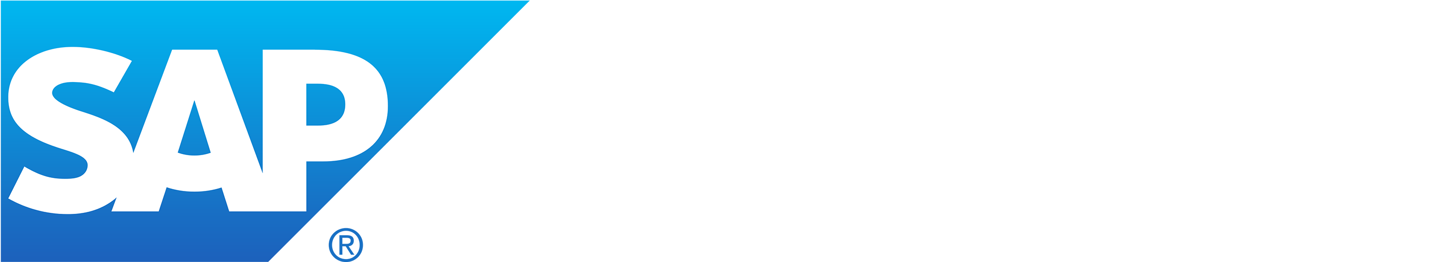 Sap Logo Transparent Download Sap S4 Hana Logo Png PNG, 42% OFF