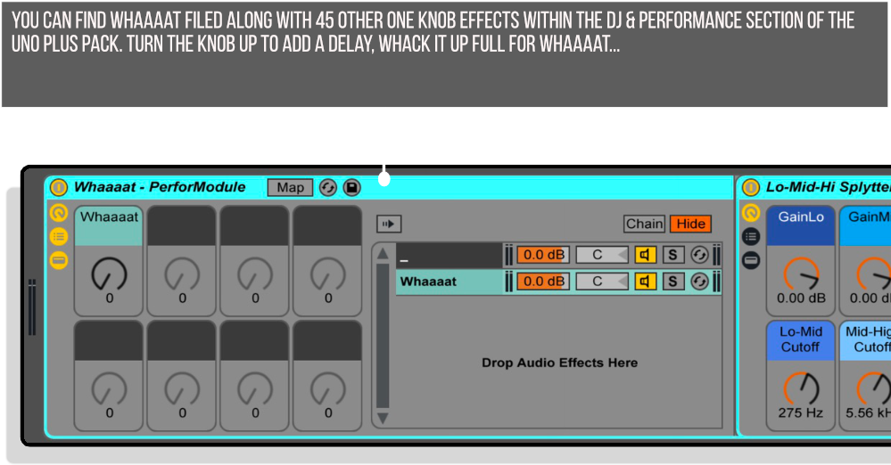 Whaaaat Infographic - Infographic (1000x562), Png Download