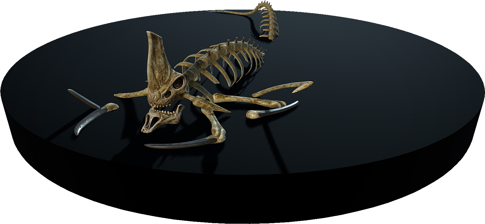 Image Black And White Leviathan Drawing Subnautica - Insect (1920x1080 ...