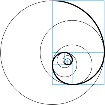 Golden Ratio Spiral 700 - Golden Ratio Circle Png (350x350), Png Download