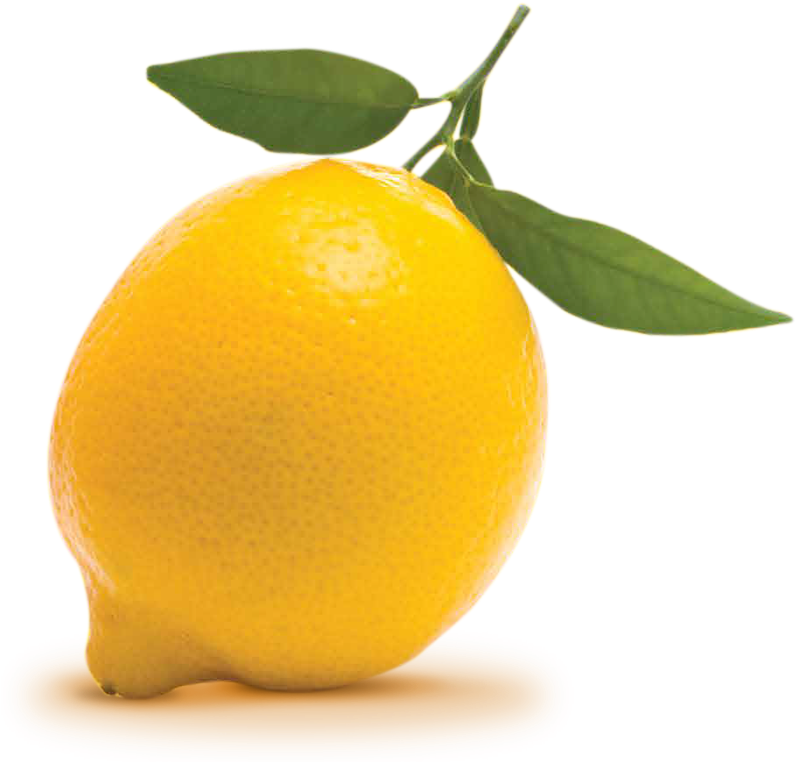Lemon Png Download - Lemon Png (800x780), Png Download