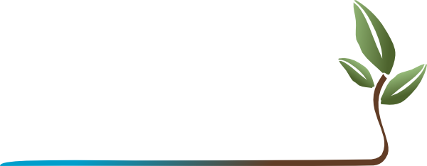 Plant Underline Clip Art - Leaf Underlines (600x234), Png Download