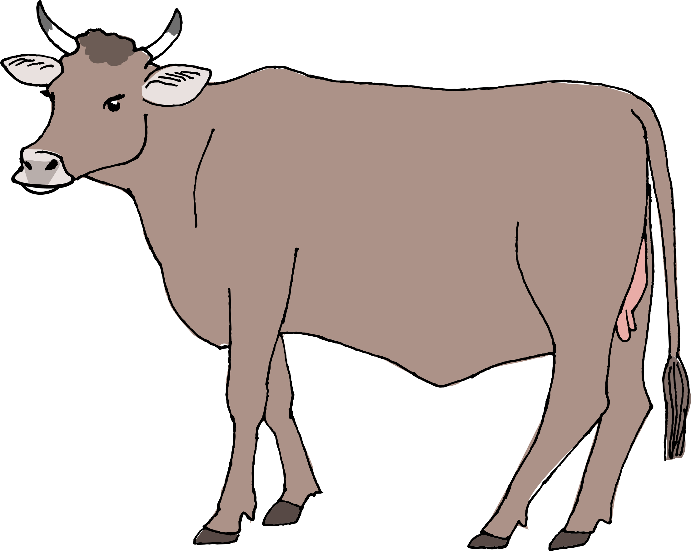 Cow - Indian Cow Vector (2048x2048), Png Download