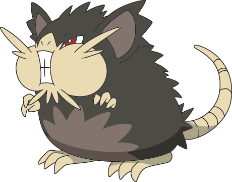 Clip Freeuse Library Image Raticate Sm Anime Png Pok - Pokemon Raticate ...
