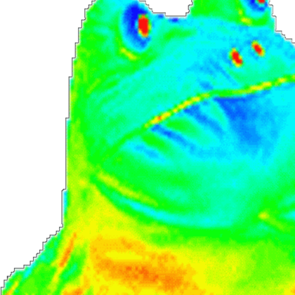 Mlg Frog Png Clip Free Library - Gif To Steam Profile (420x420), Png ...