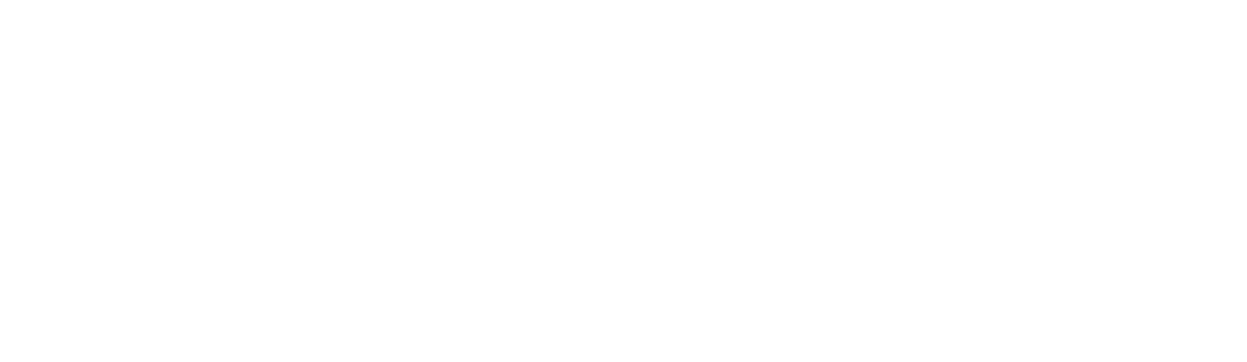 Merlin International - Merlin International, Inc. (2566x766), Png Download