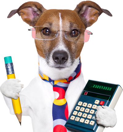 Home Which 1 - Dog Calculating (400x430), Png Download